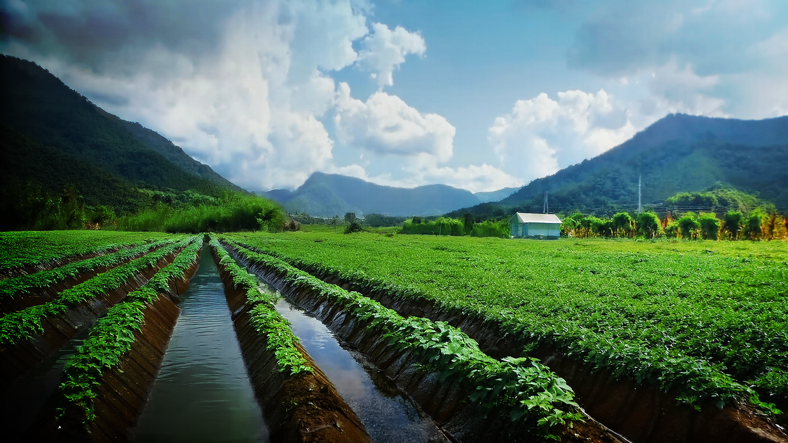 Sustainable Water Conservation Methods in Agriculture – Rainy Filter